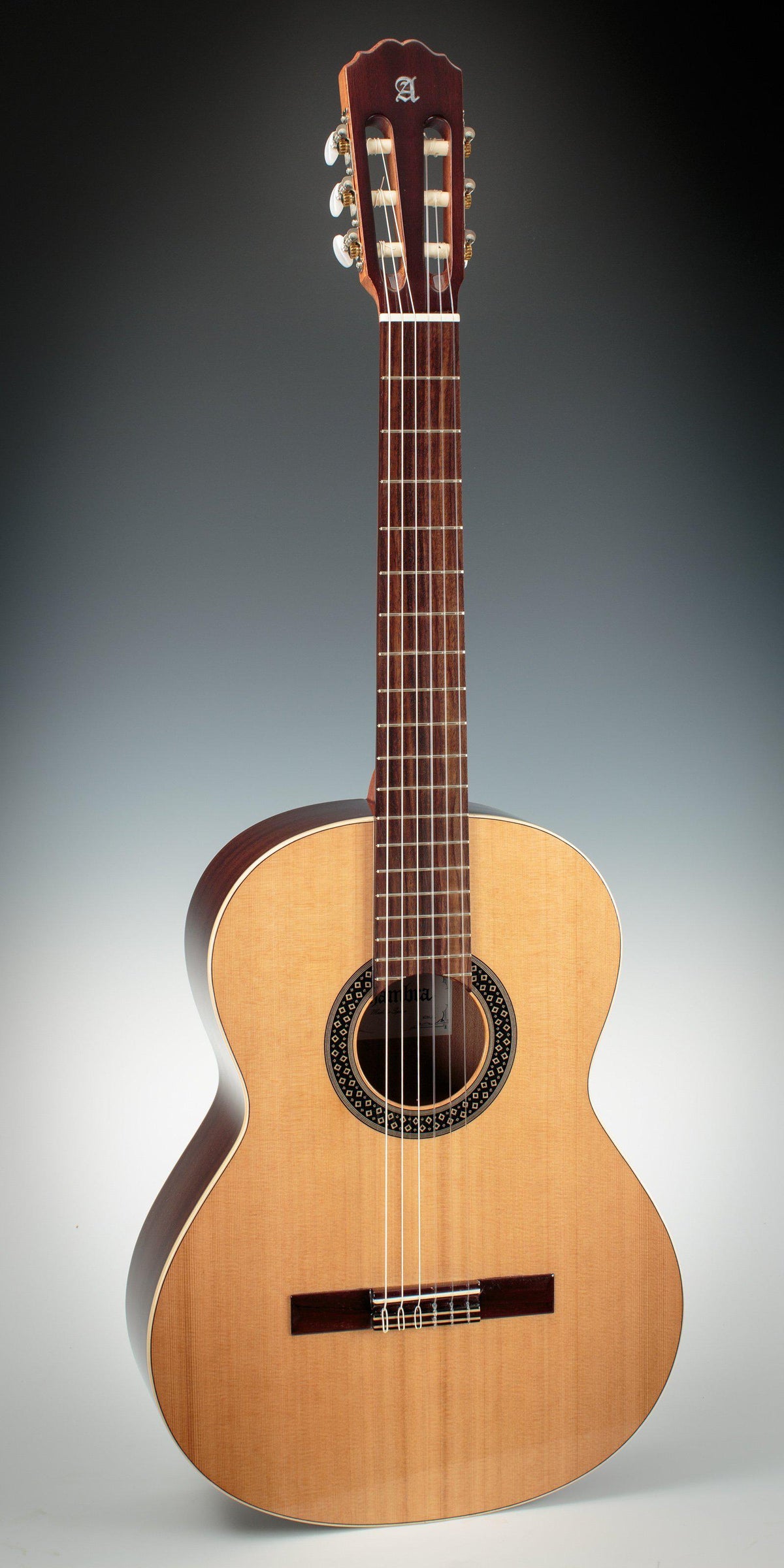 Alhambra 1C Classical Guitar - Handmade in Spain